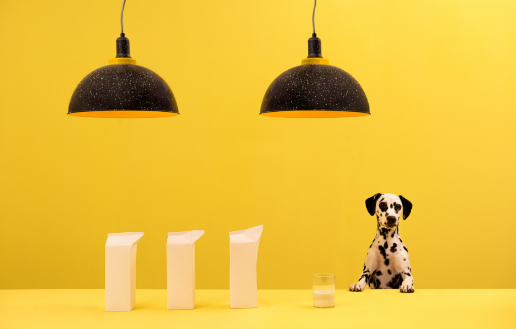 Get The Look of Masquespacio's Incredible Commercial Design Projects!